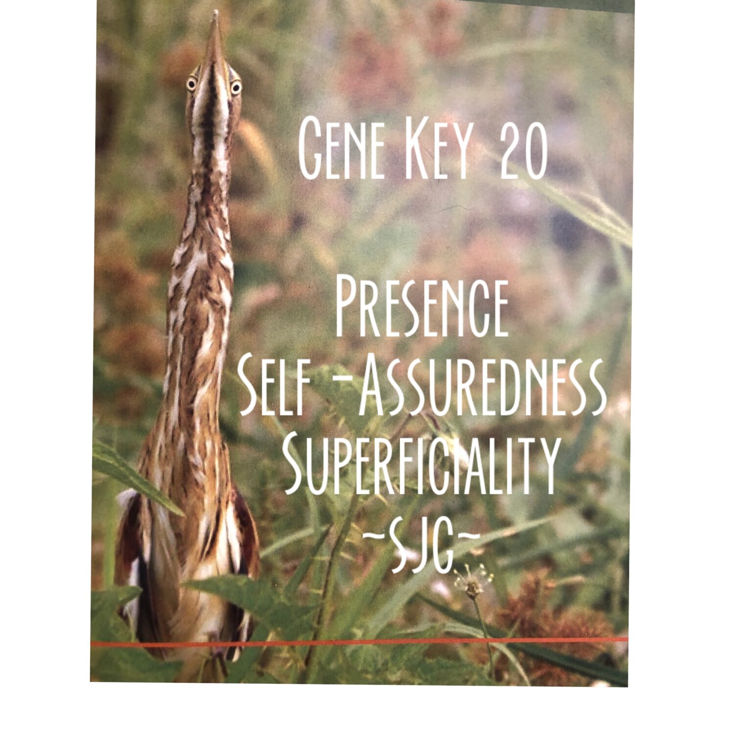 Gene Key 20 Presence - Empowered Essential You